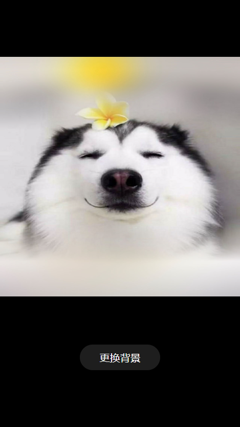 imooc: SpringBoot+Uniapp实战开发仿抖音短视频App